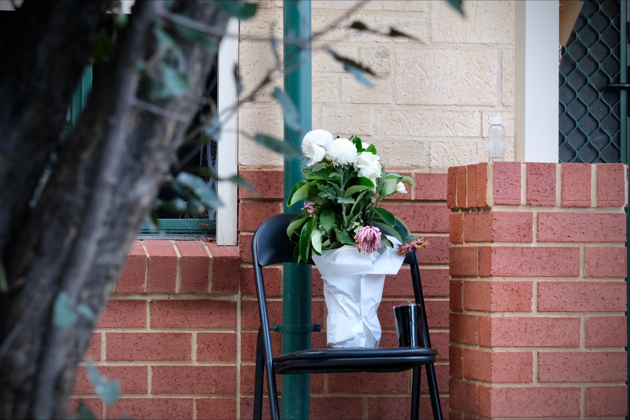 Disability service provider 'deeply saddened' after client died while ...