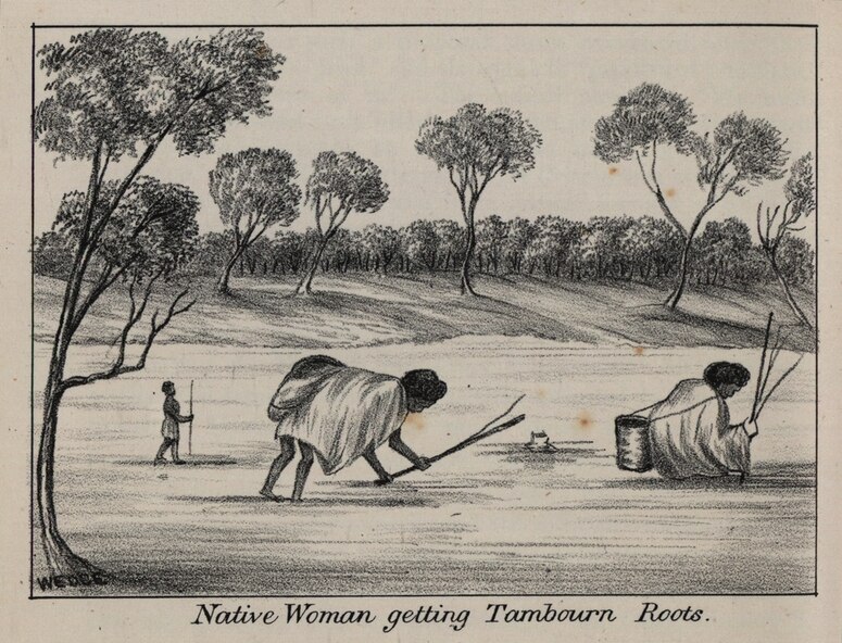 Aboriginal heroes from early years of colonisation the…