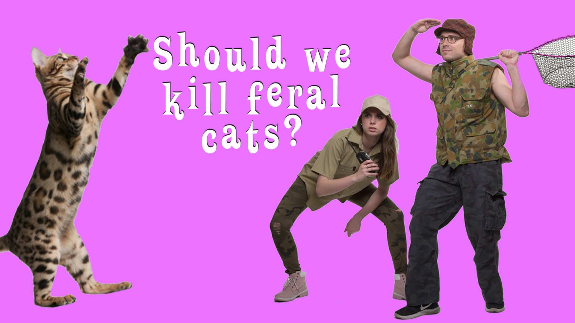 Should we kill feral cats? - ABC listen