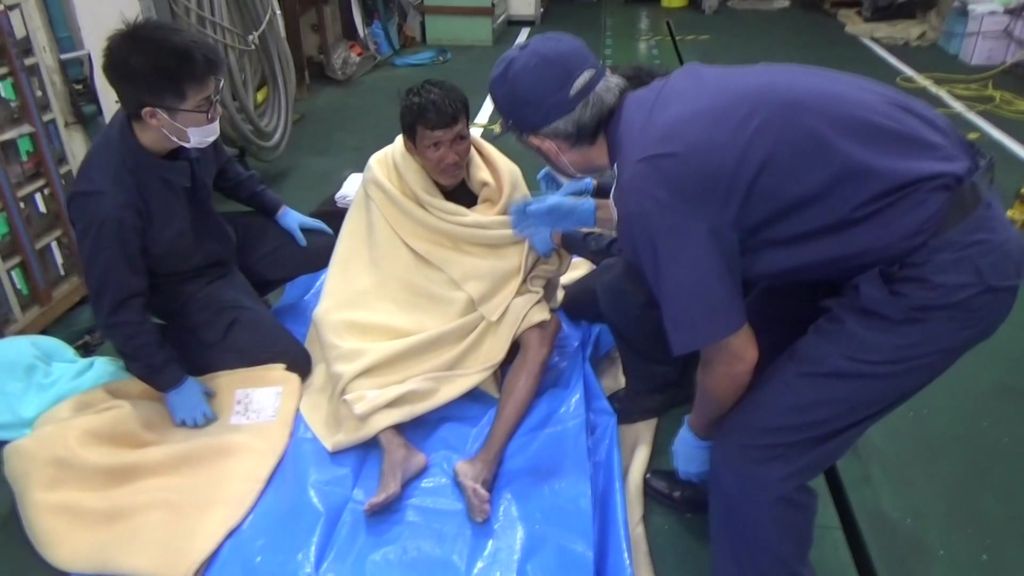 Japanese rescue crews find another survivor from missing live export ...