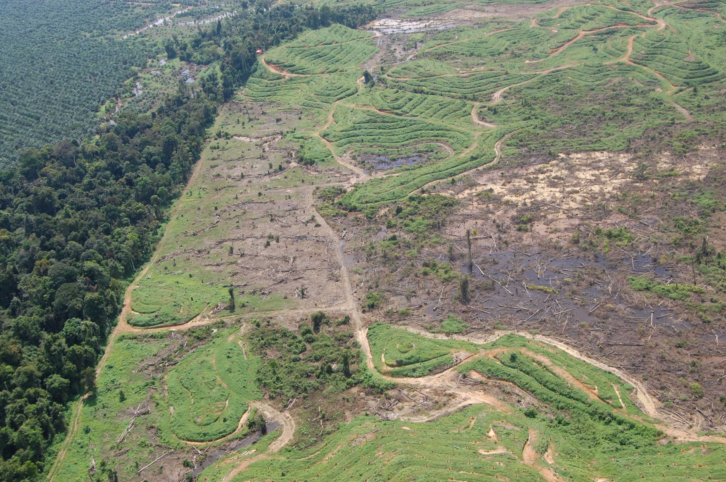 UN climate report warns our land use must change - ABC Radio