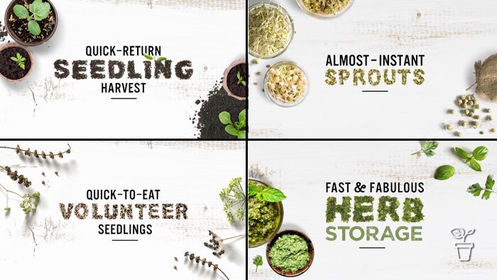 Fast Food - Gardening Australia