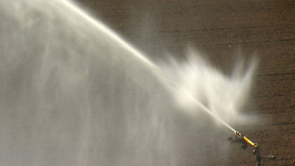 Ringarooma - 7263 - Location - ABC News