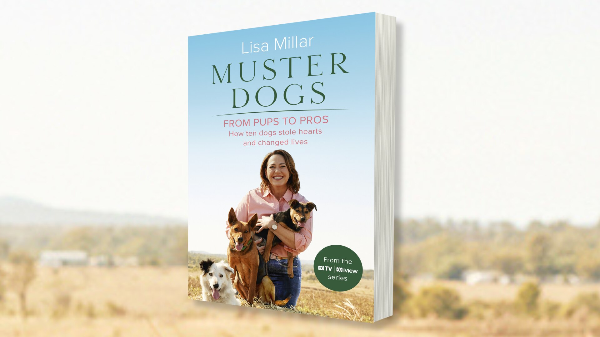 ABC Muster Dogs Product Range - ABC Shop