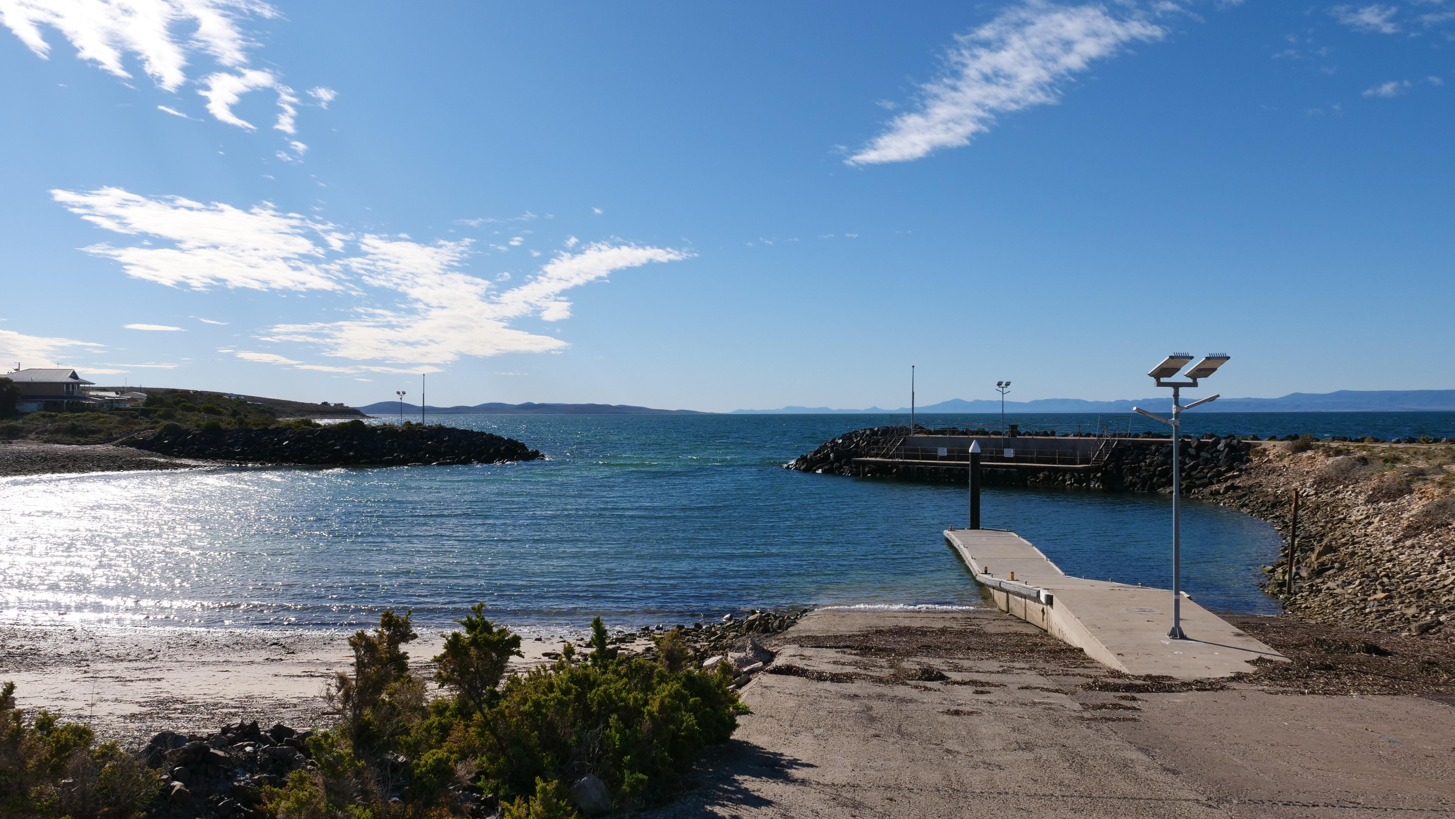 First kingfish in the water at farm neighbouring Whyalla's cuttlefish ...