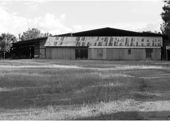 Yeomans family steers Greenhill Orchards through 160 years of ...