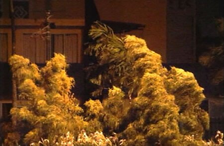 Cyclone Larry 'as bad as Tracy' - ABC News
