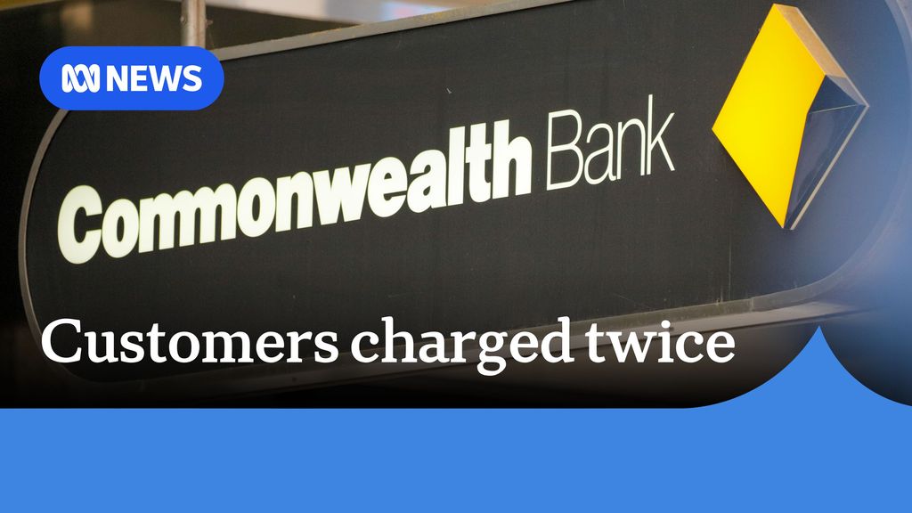 A look at the ABC's election centre ahead of the 2024 ACT vote - ABC News