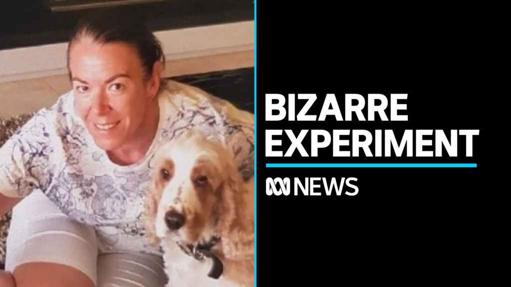 Melissa Caddick inquest hears of ocean experiment idea using dead pigs ...