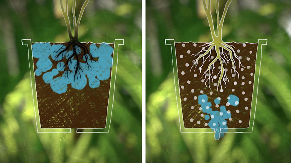 Indoor Plant Containers and Potting Mixes - Gardening Australia