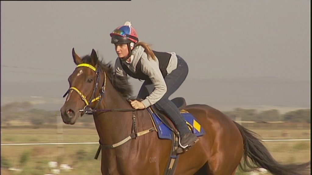 Rising star of the turf - ABC News