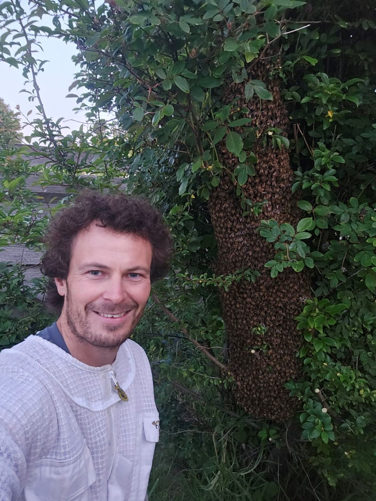 Beekeepers in Victoria kept busy with hives swarming as weather warms ...