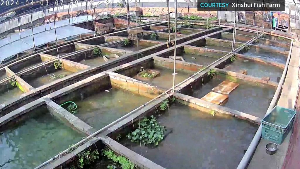 Taiwanese fish farm rocked by strong earthquake - ABC News