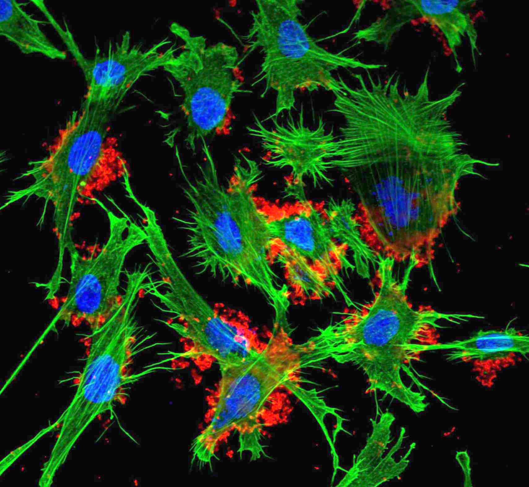 Scientists create 'atlas' of cancer genetics - ABC listen