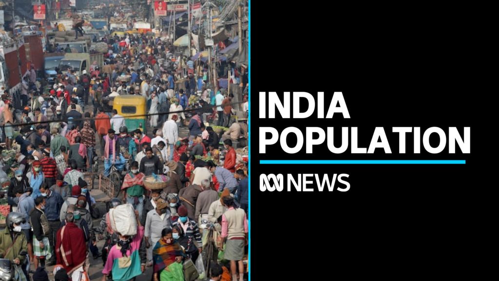 Voting opens for fattest bears in Alaska's Fat Bear Week - ABC News