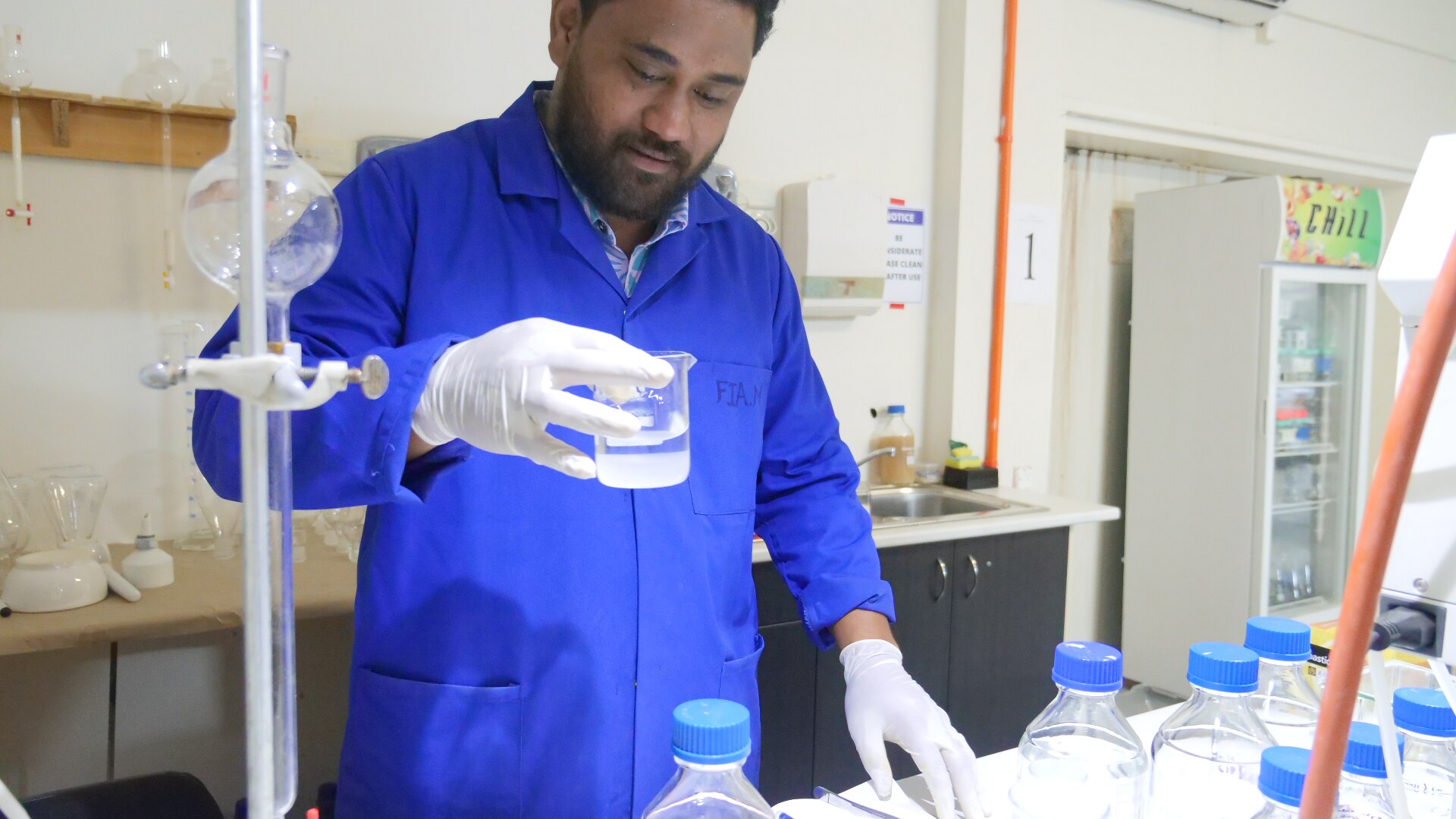 Inside Palau's isolated marine lakes where millions of rare jellyfish ...