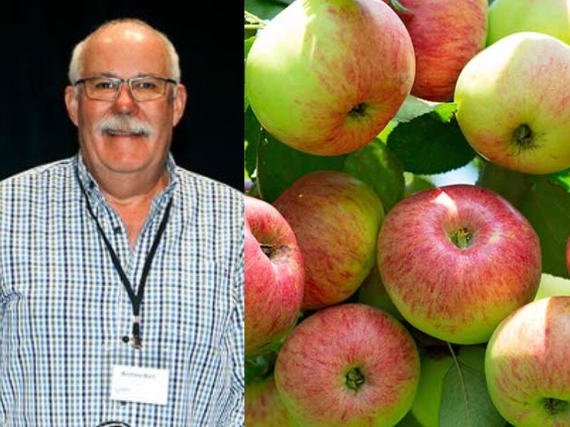 SA Weekends with Deb Tribe - ABC listen