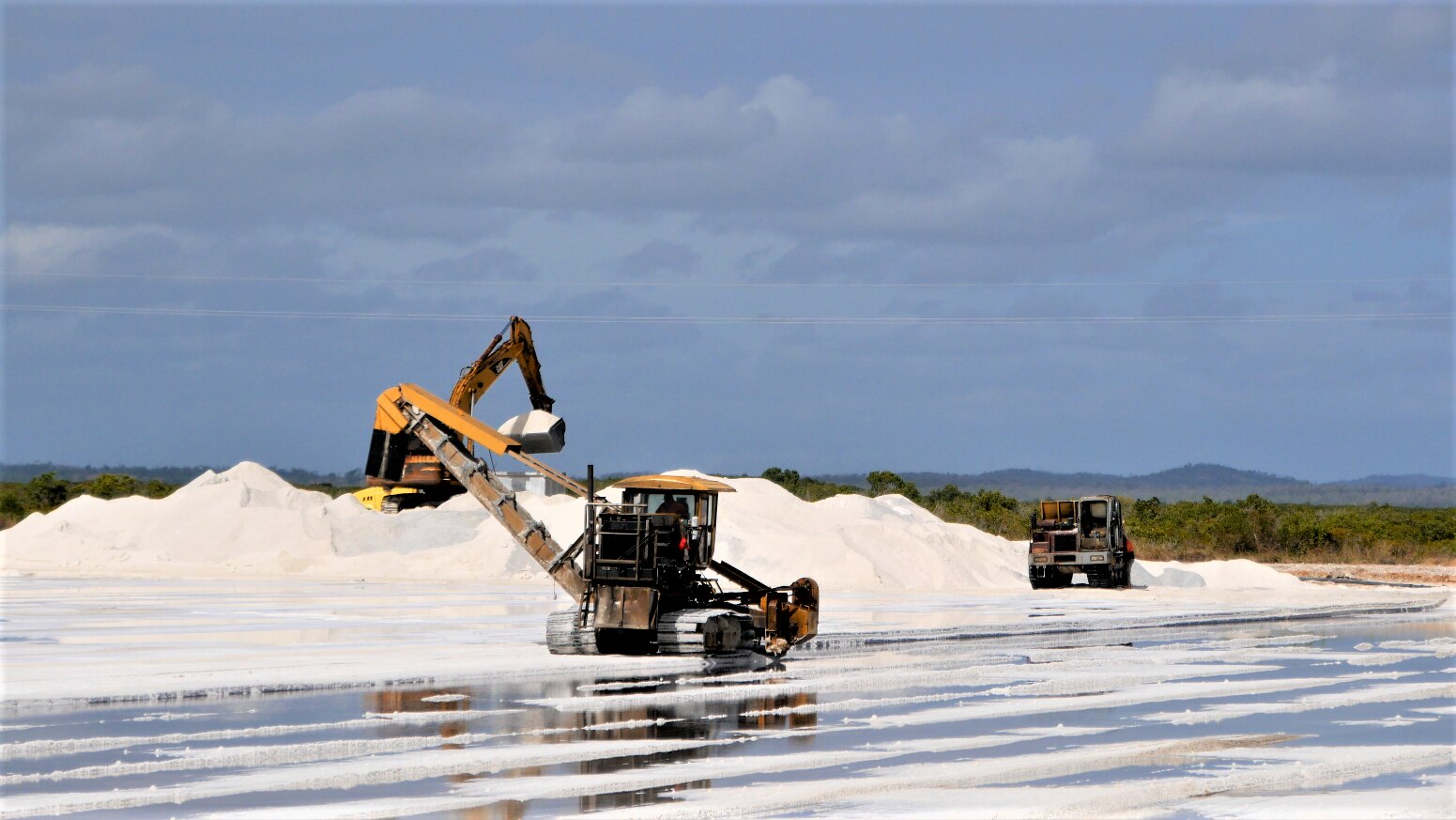 Olsson salt-farming family cracks through a saturated market - ABC News