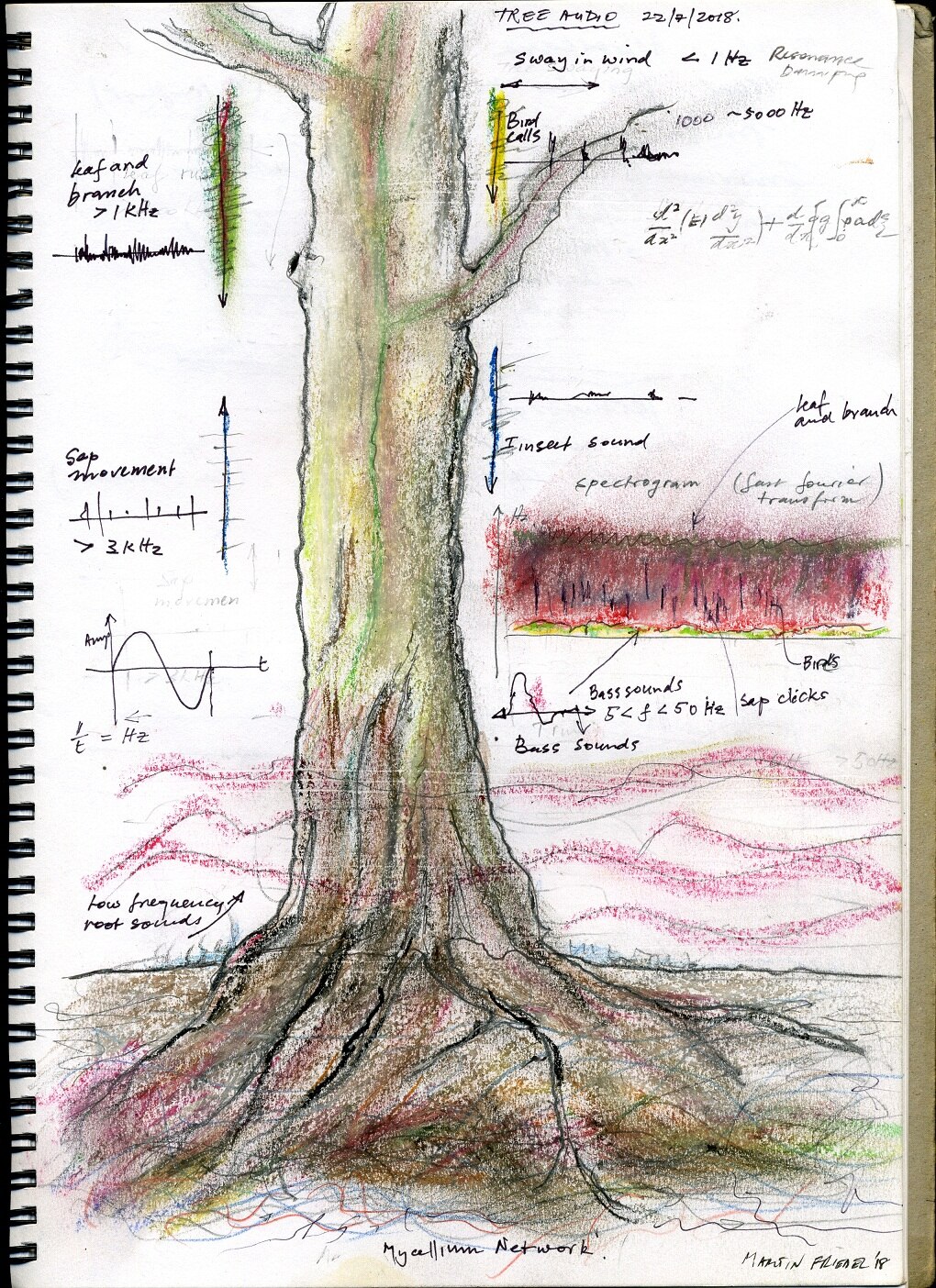 Tree music - ABC Radio National