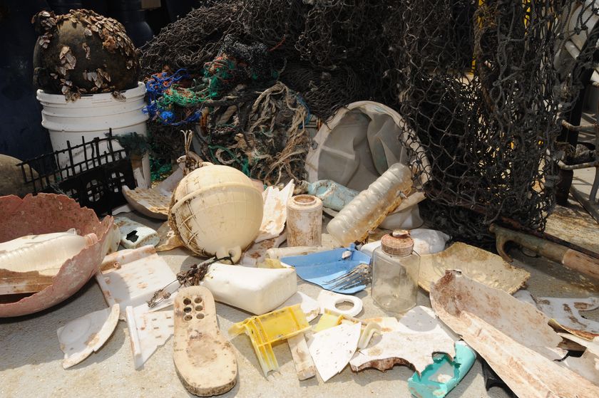 Plastic vortex wreaks havoc on marine life - ABC News