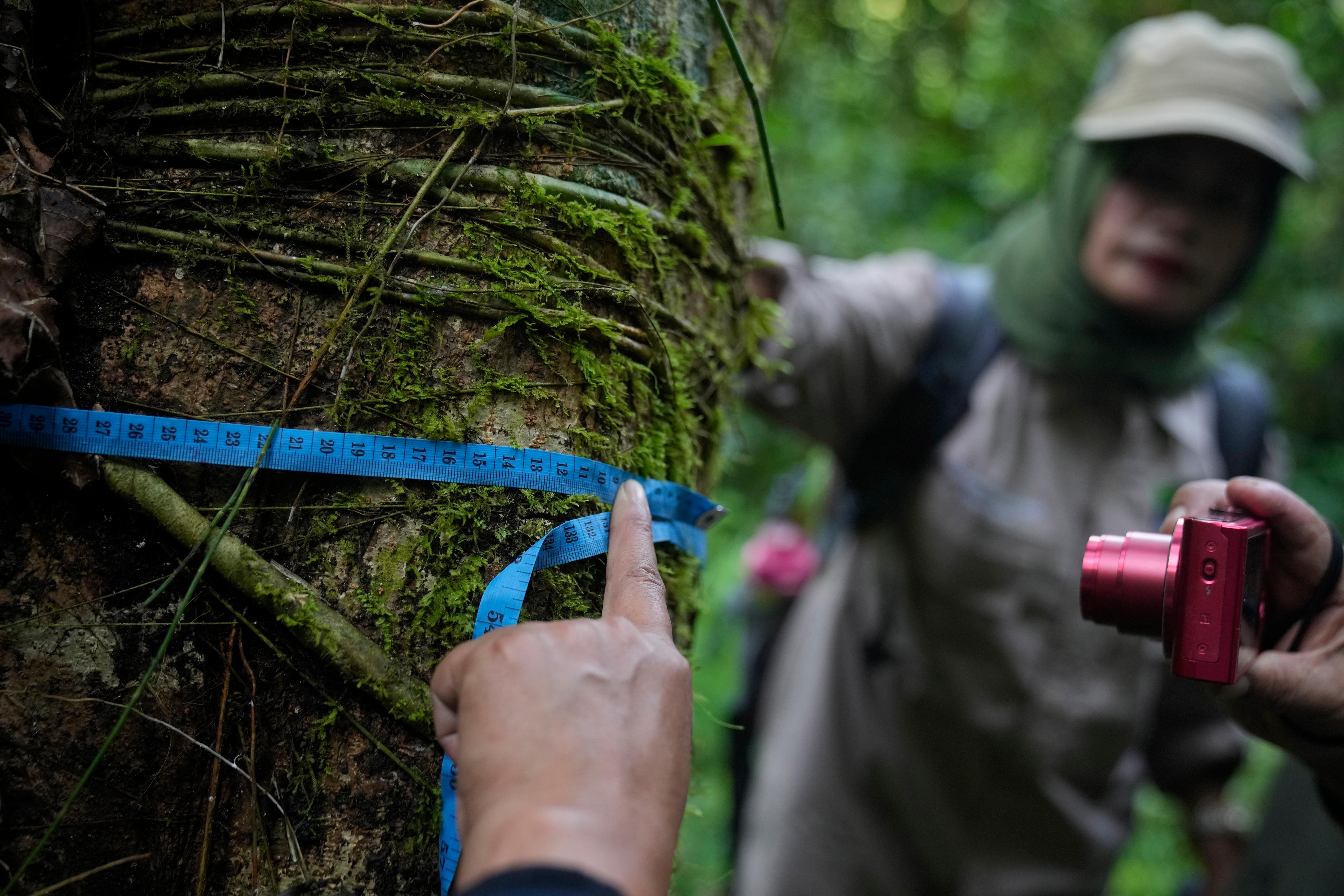 In Indonesia, women ranger teams go on patrol to slow deforestation ...