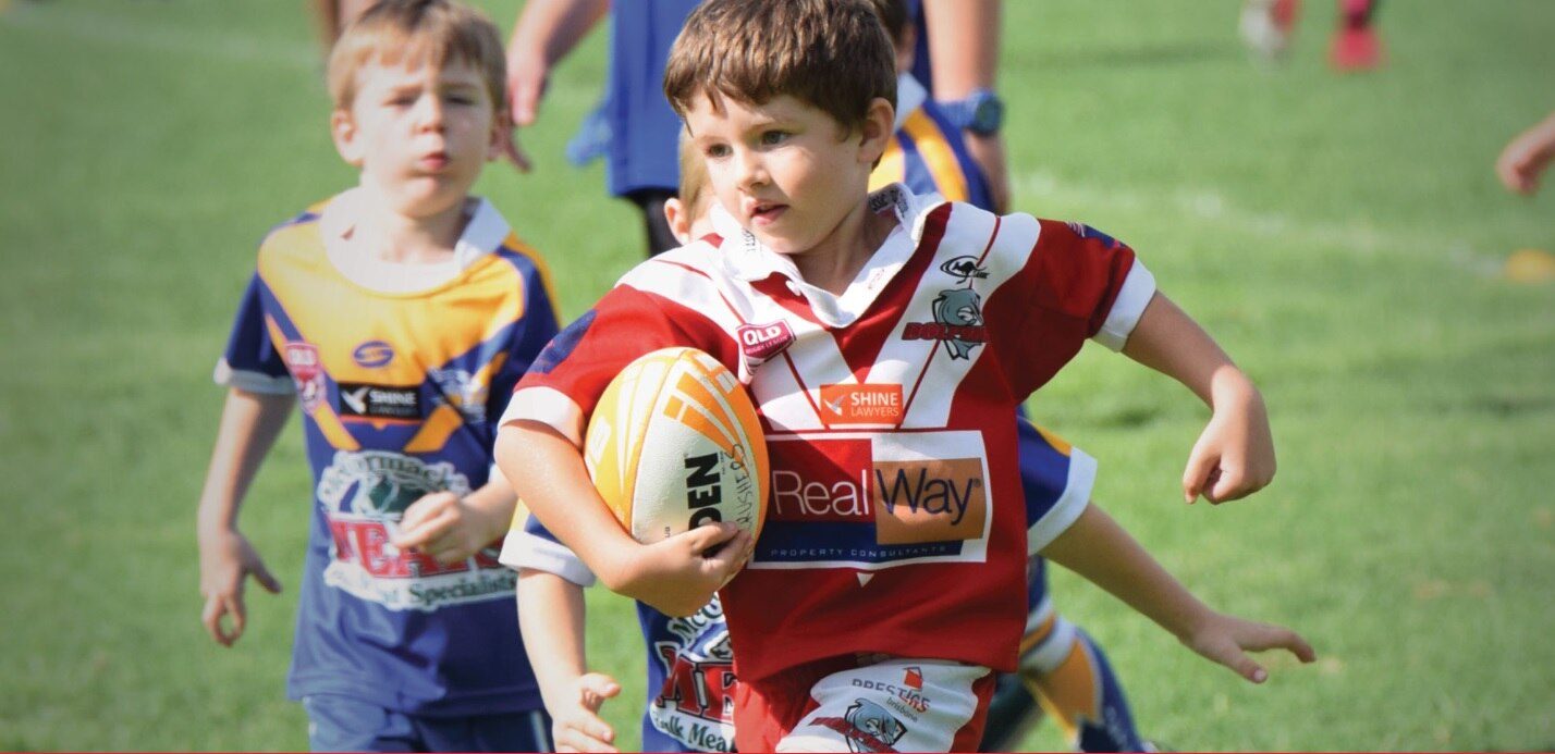 Sunshine Coast NRL legend Adam Mogg thrilled for Redcliffe Dolphins ...