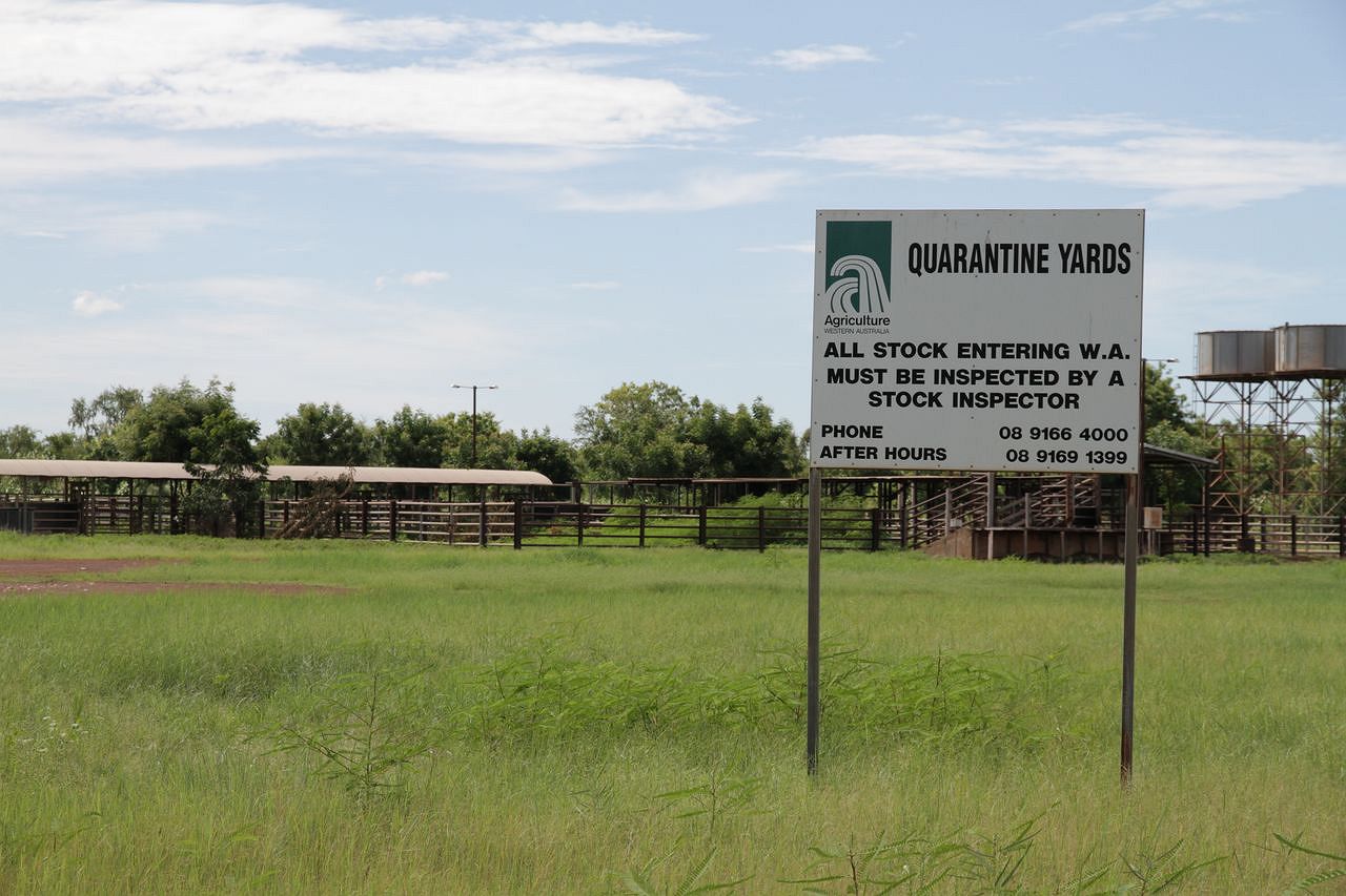 Construction to begin on WA/NT border washdown facility - ABC News
