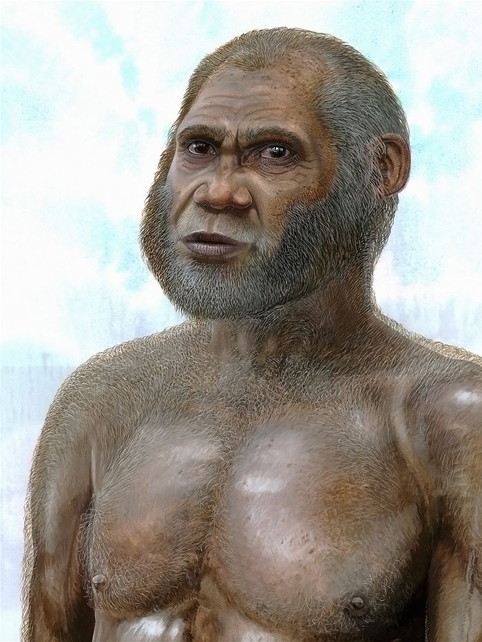 Stone Age people discovered - ABC listen