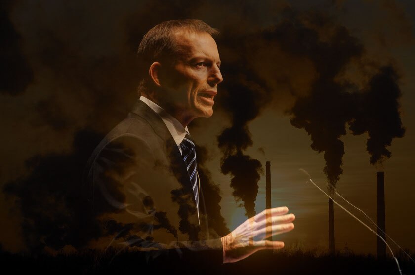 A close look at Abbott's Direct Action plan - ABC News