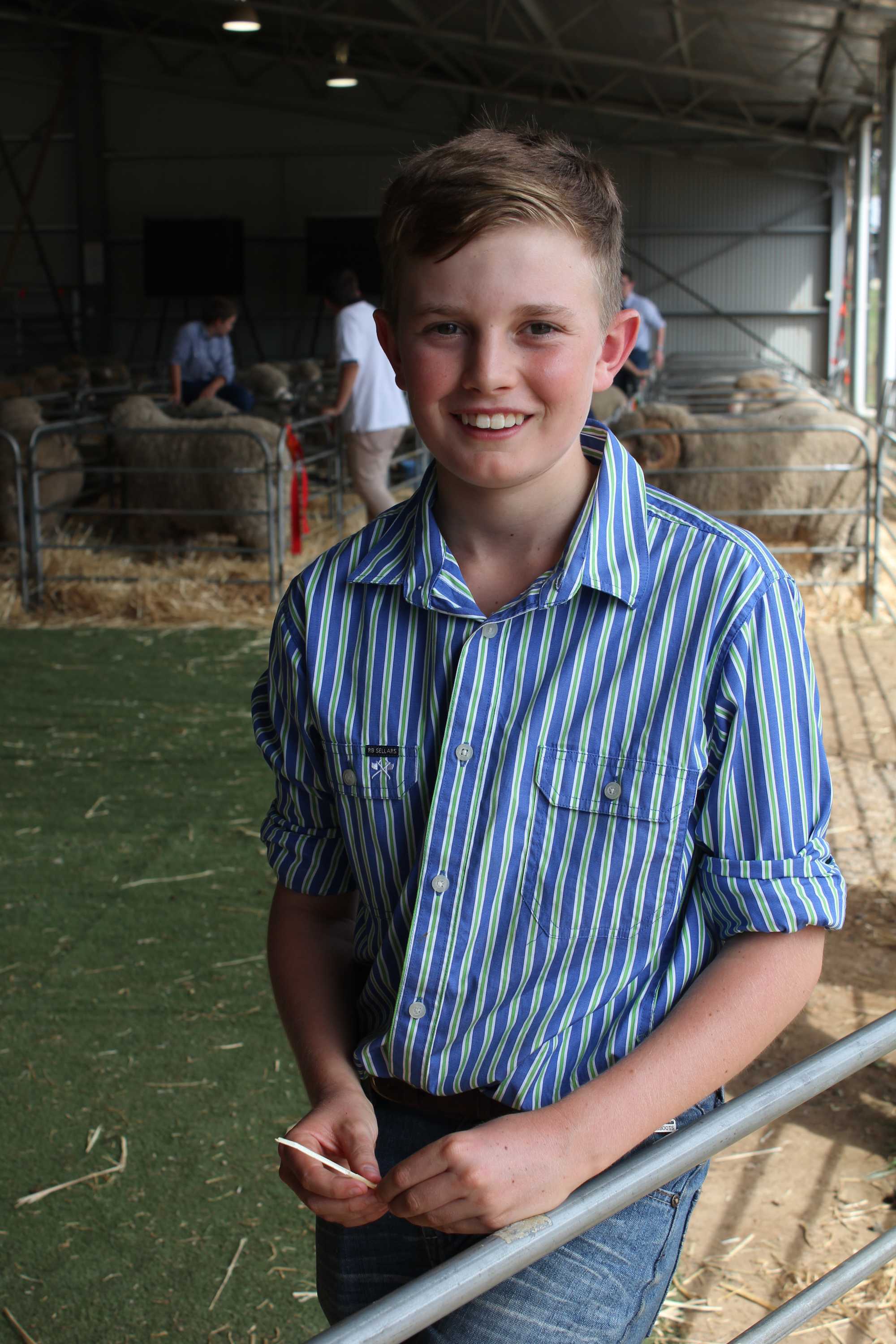 Youth bring back sheep show in northern NSW - ABC News