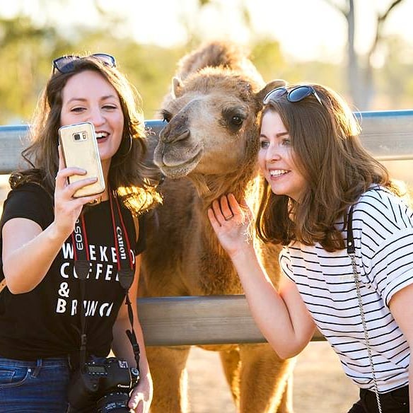 Before you snap a killer selfie, stop and think about the risk you're ...