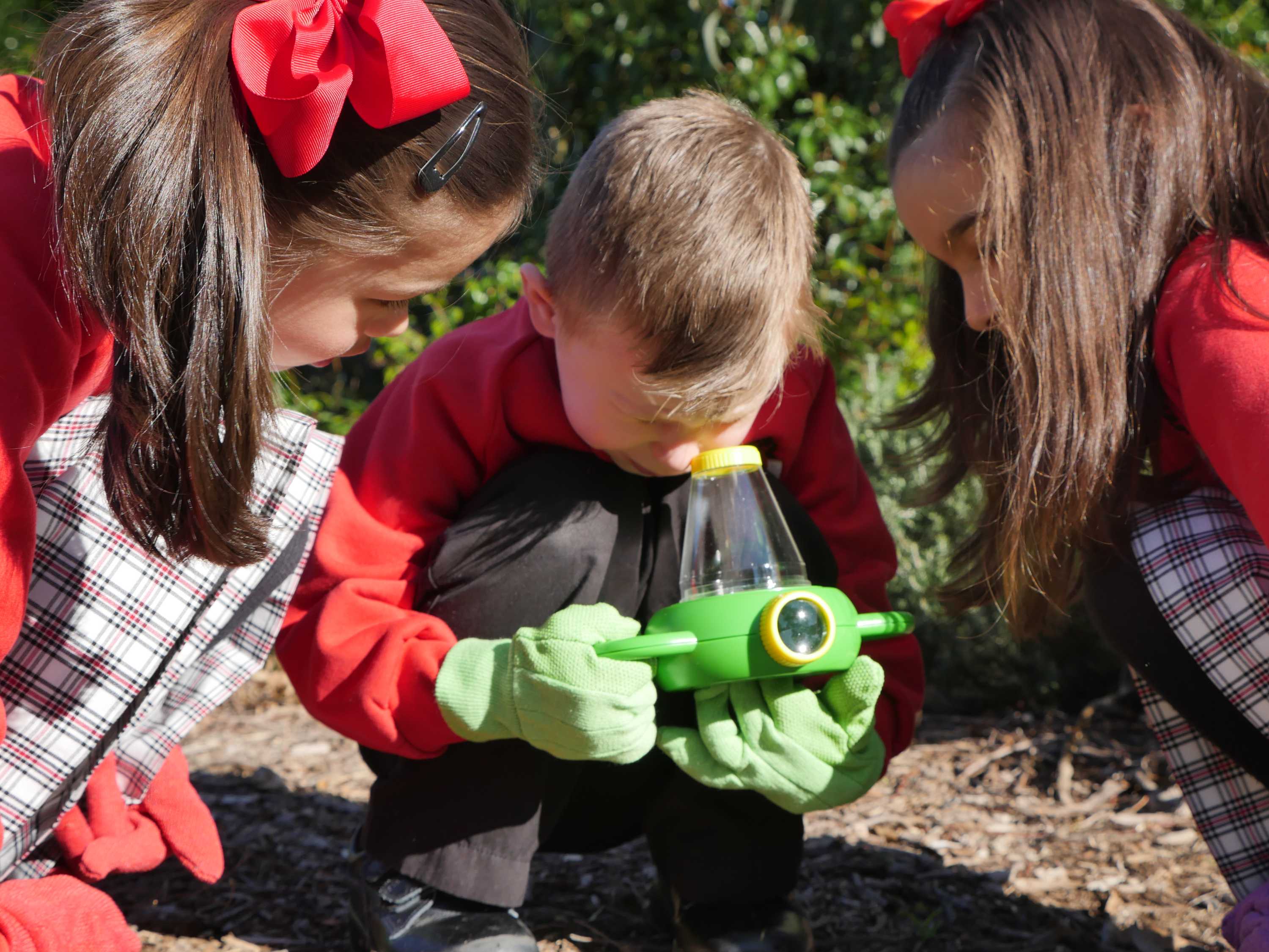 Bug-tracking schoolkids help scientists study biodiversity - ABC News