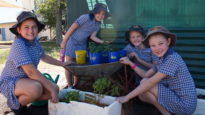 Hughenden students find their green thumbs in kitchen garden despite ...