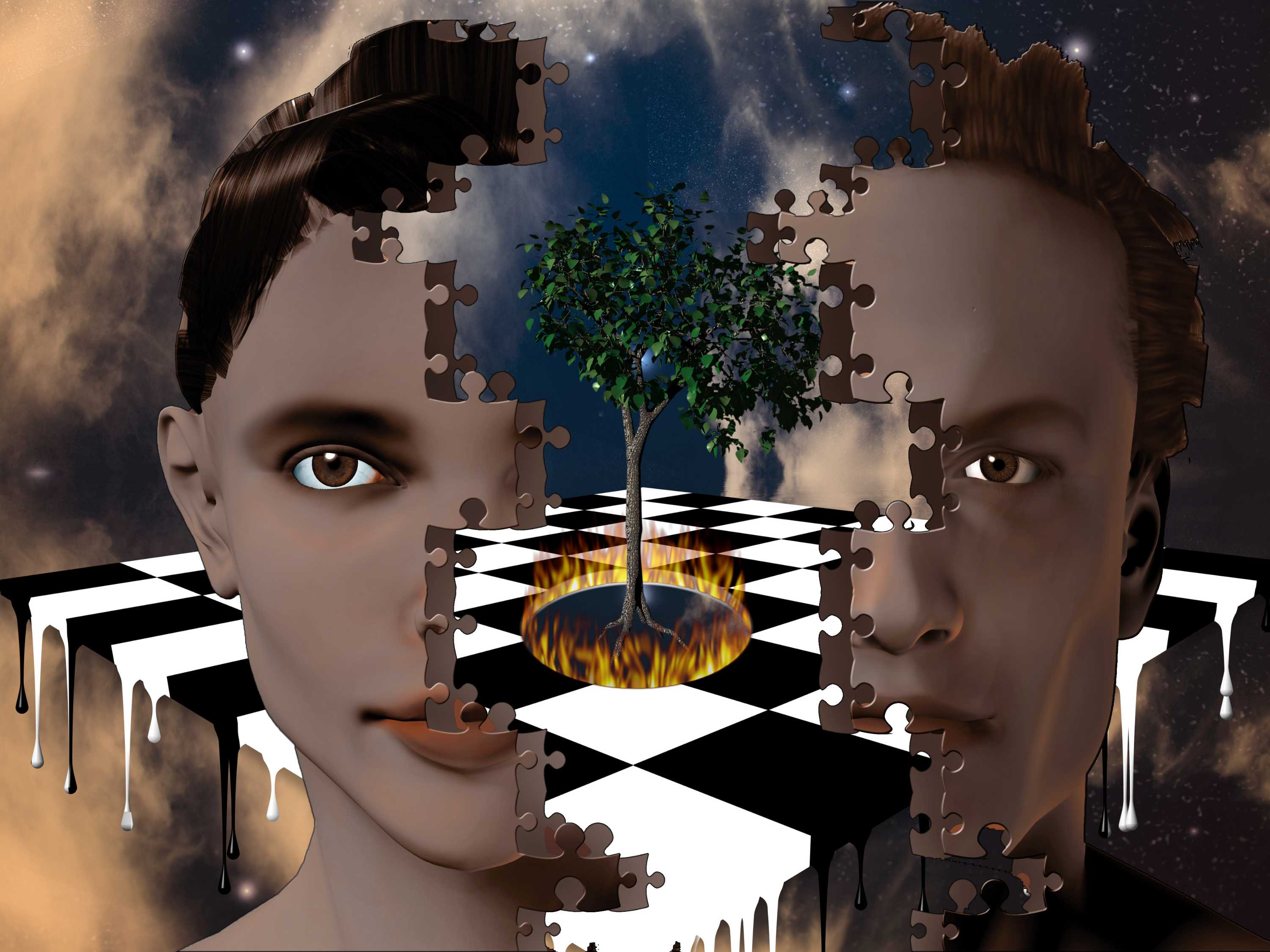 The divided brain - ABC Radio National