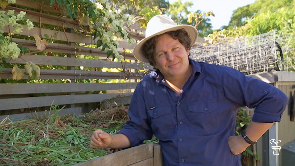 FAQs – Compost pile size | Over-fertilising | Propagating from cuttings ...