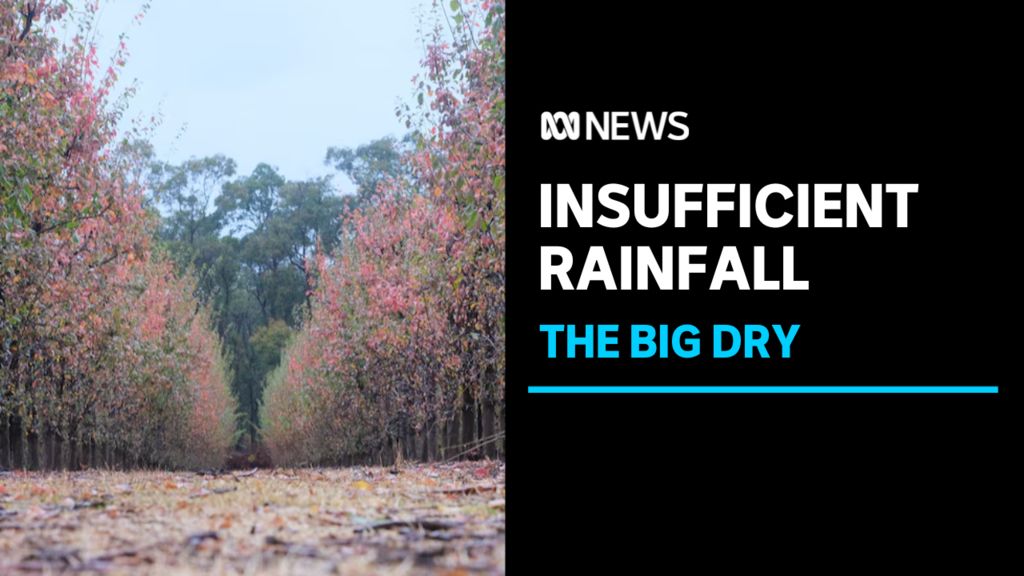 Recent rainfall not enough to break drought in WA's south west - ABC News