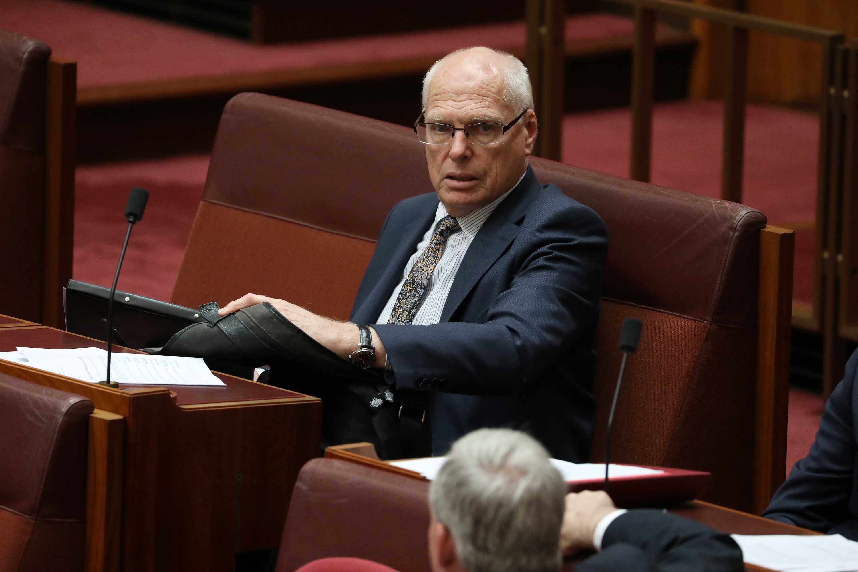 Jim Molan to return to the Senate - ABC News
