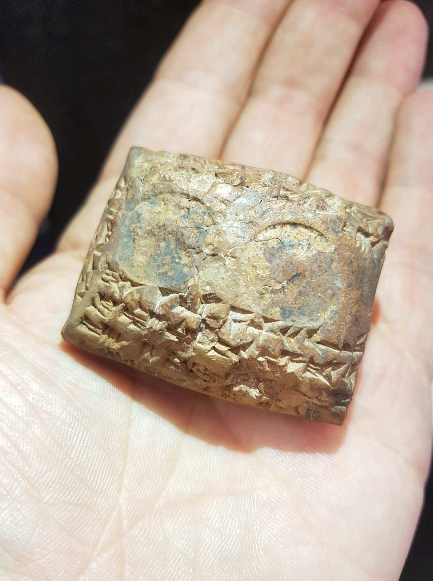 Secrets of mummified cats and ancient tablets revealed by imaging ...