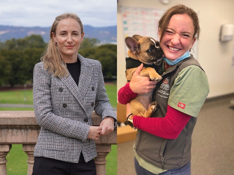 One Nation MLC and vet Sarah Game champions Sophie's Legacy - ABC listen