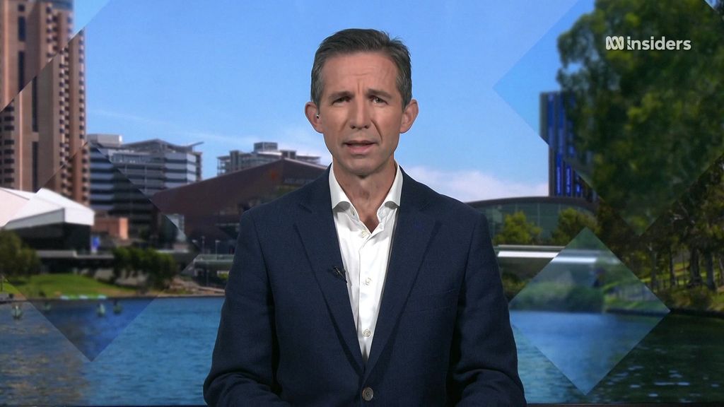 Israel acting 'well within its rights' of self-defence: Simon ...