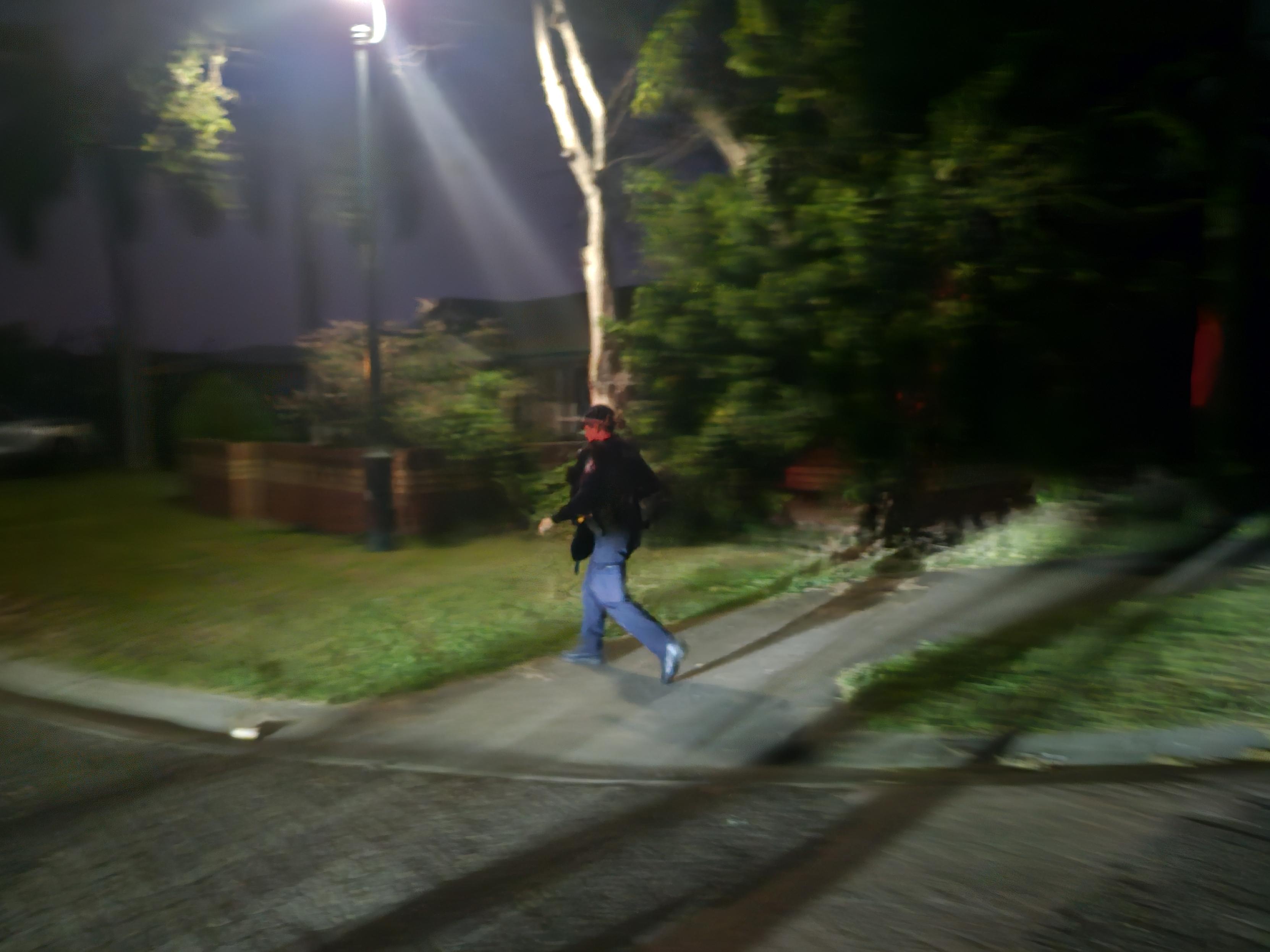 Endangered Manning River turtles released into wild after egg rescue ...