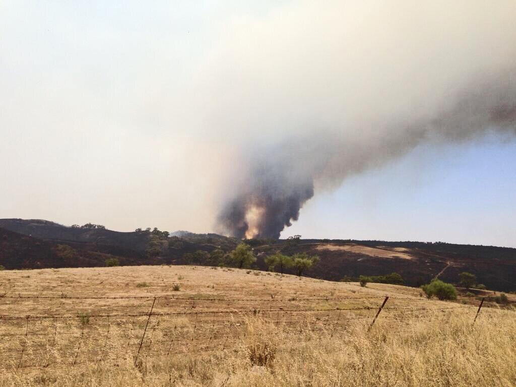 Three fire bombers help tackle Bangor blaze in southern Flinders Ranges ...