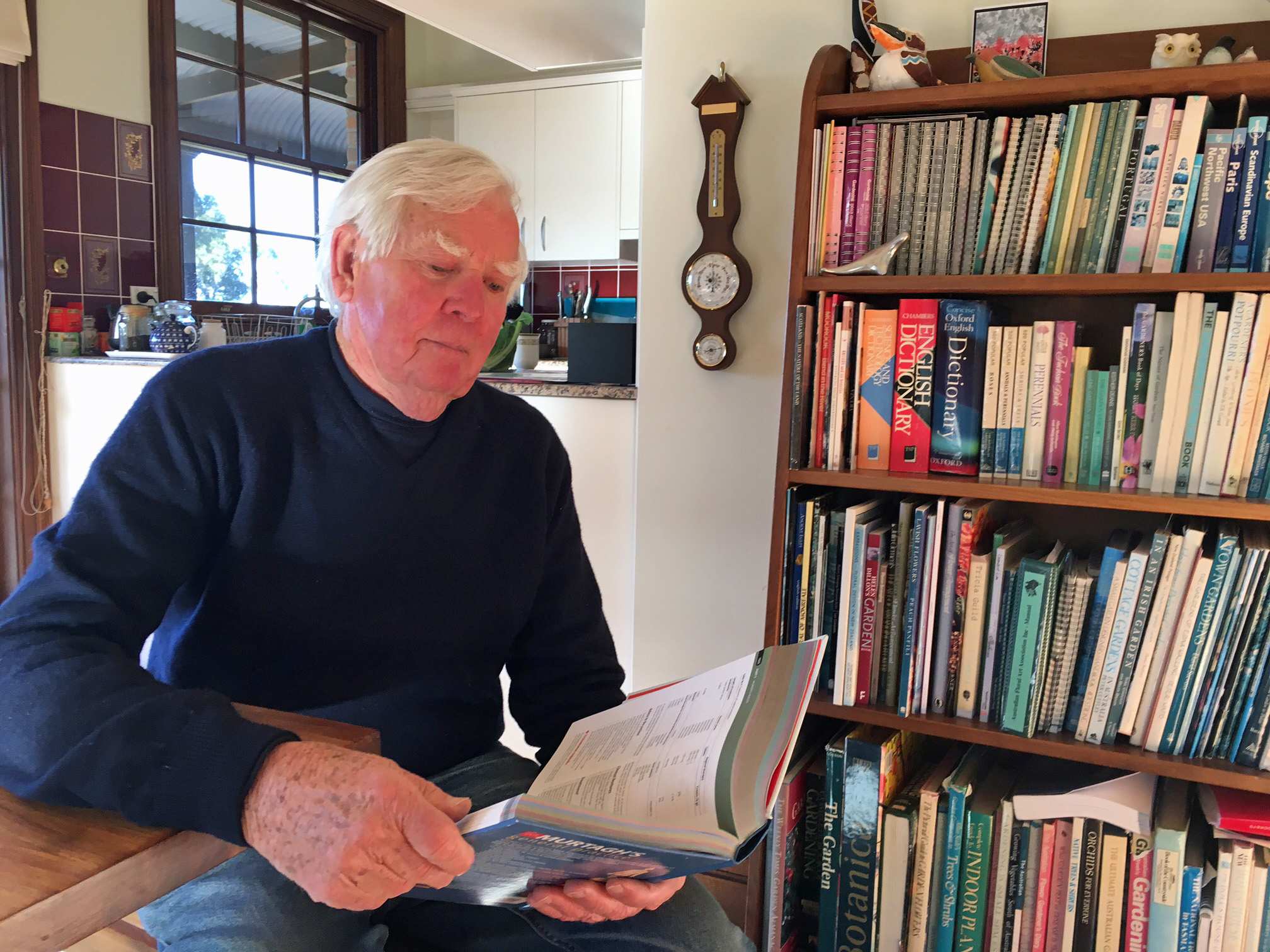 Queen's Birthday honours: Medical minds, artists, and veterinarian ...