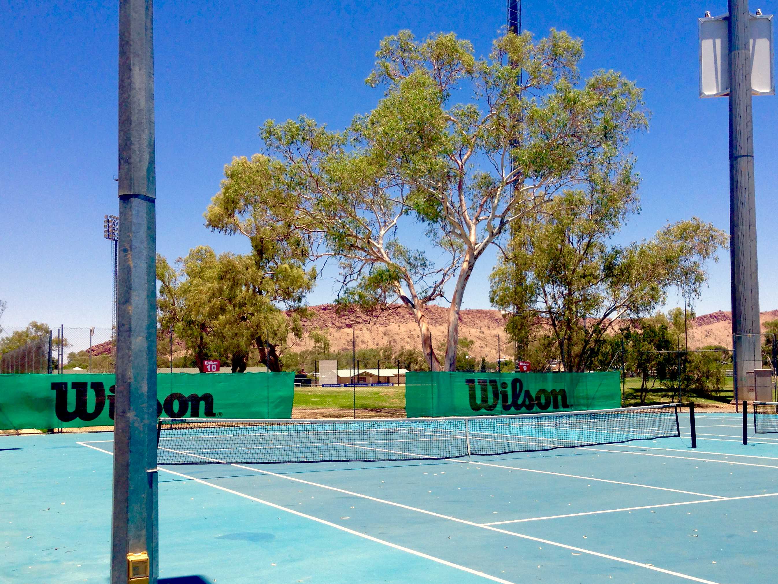 Sacred gum tree leaves threaten future of Australian Pro Tour tennis in ...
