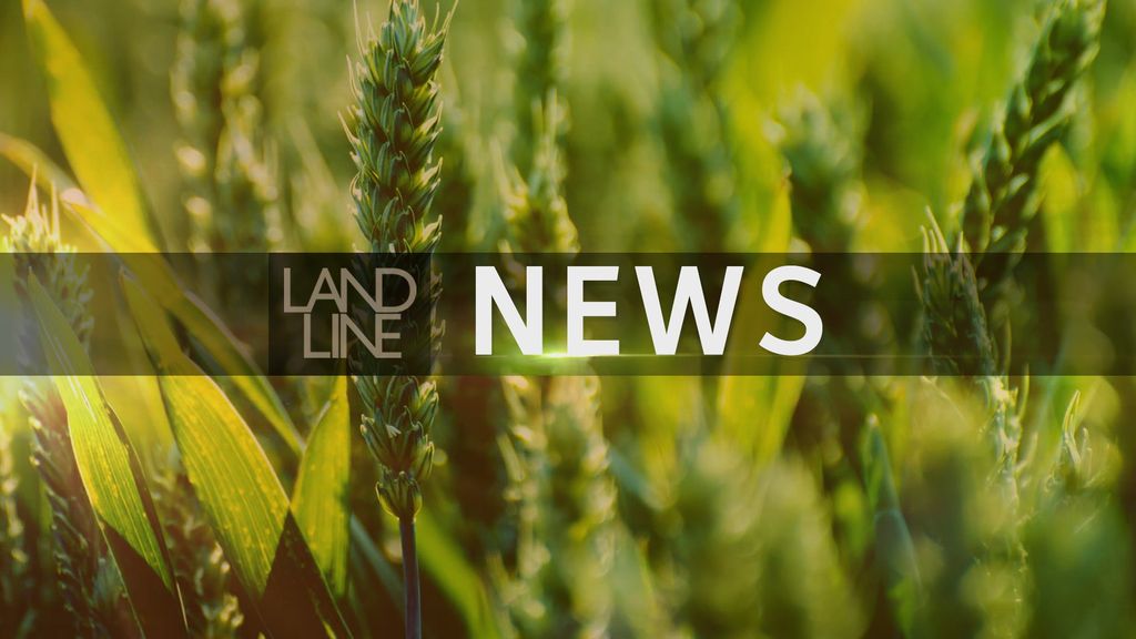 News: Rural and regional issues making the news - ABC News