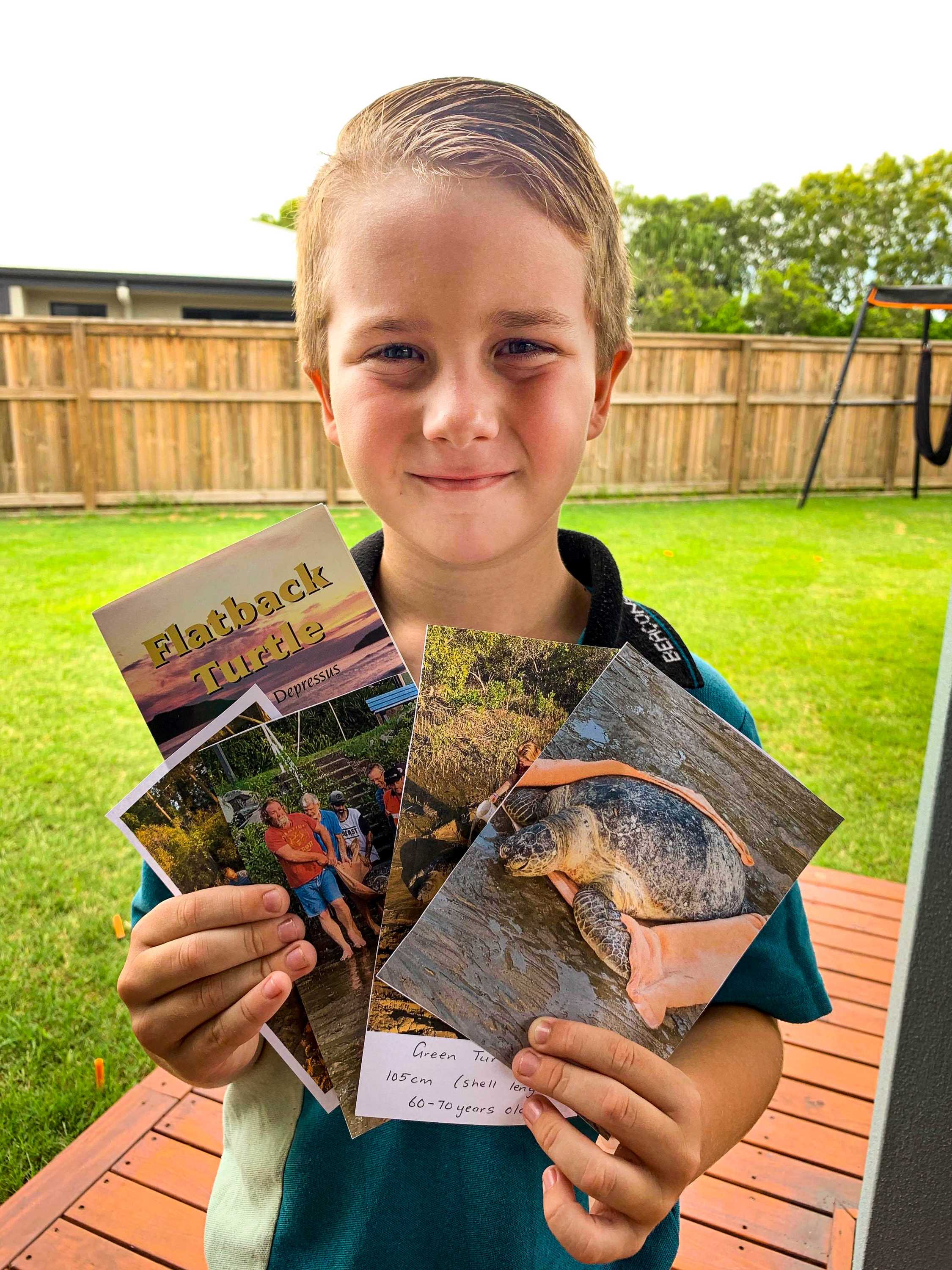 Members of the public rescue an injured turtle stuck on the Mackay ...