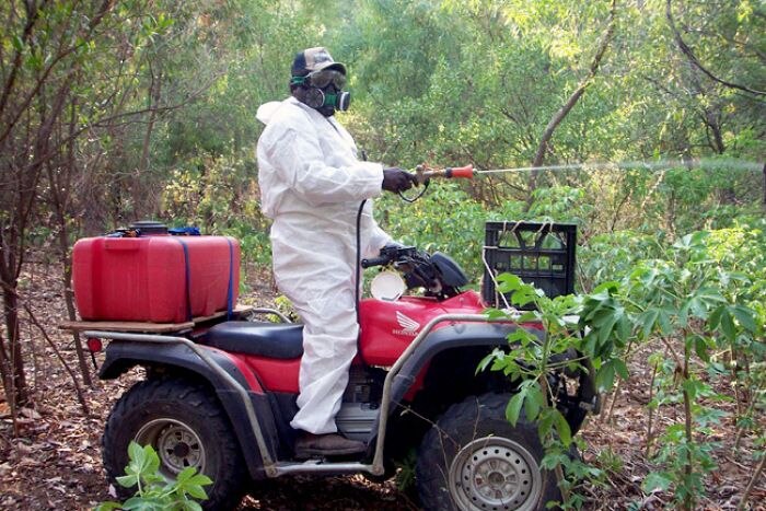 Indigenous rangers head back to work in the Top End - ABC News