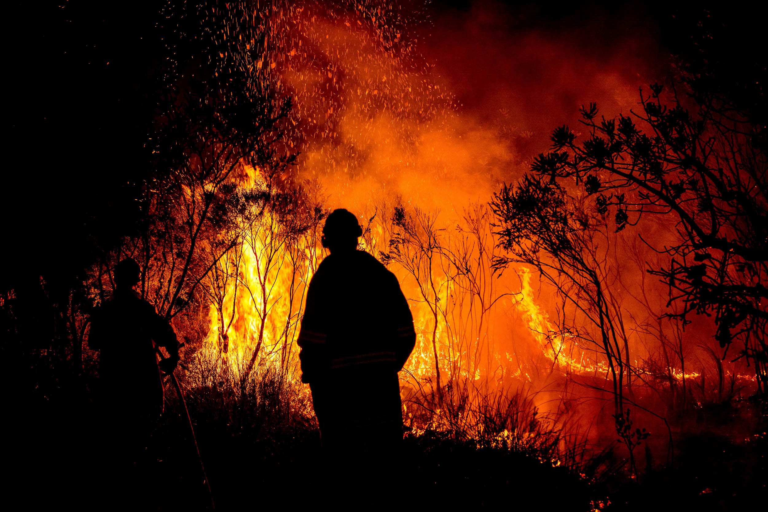 Clinical psychologist describes mental health impacts of bushfires ...