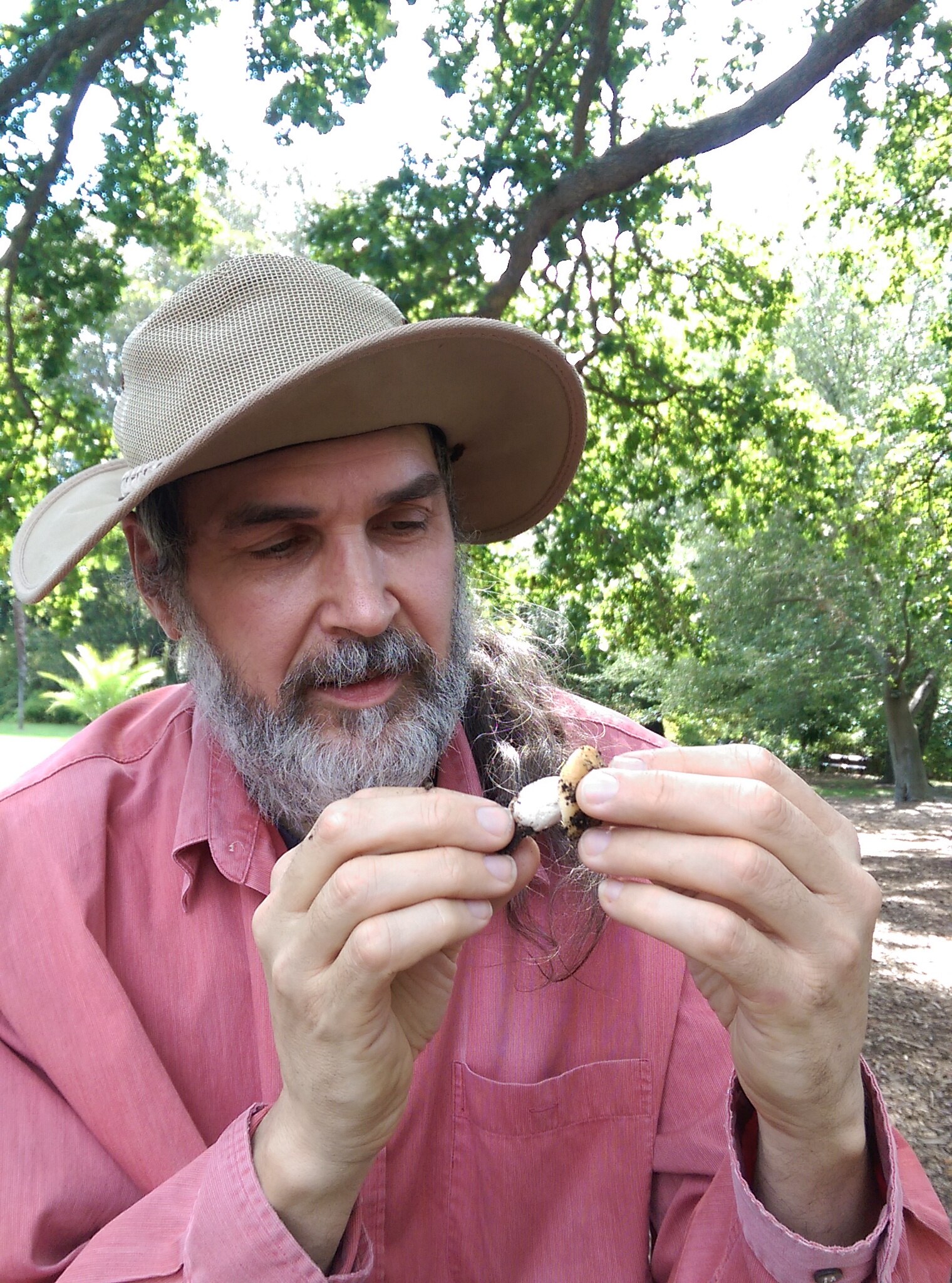 How a fungi fascination led this Royal Botanic Gardens scientist on a ...