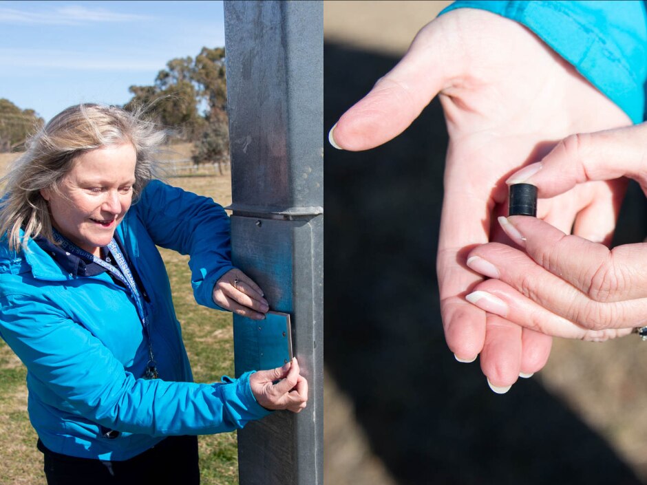 Geocaching is the outdoor treasure hunt taking people out of their ...